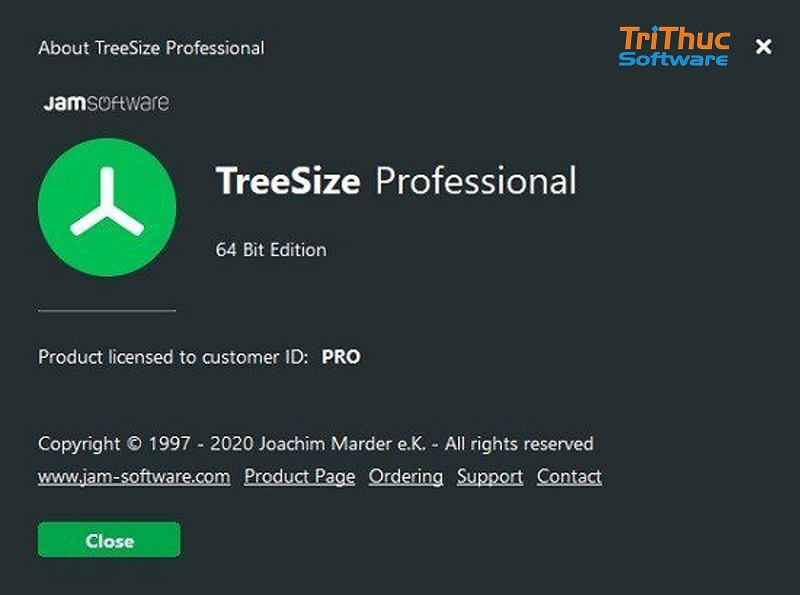Phần mềm TreeSize Professional là gì? Mua bản quyền 2025 ở đâu?